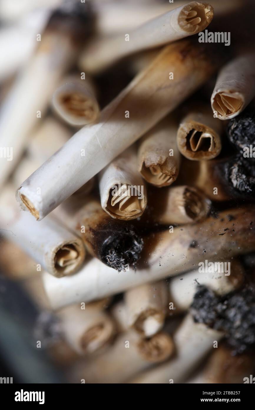 Lots of smoking joints tips in transparent glass macro Medical cannabis ...