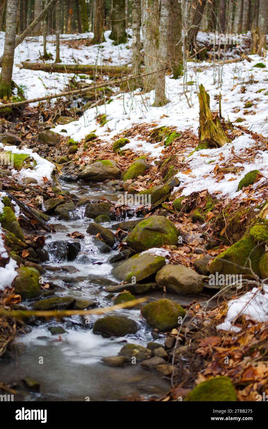 Freezing woods hi-res stock photography and images - Alamy
