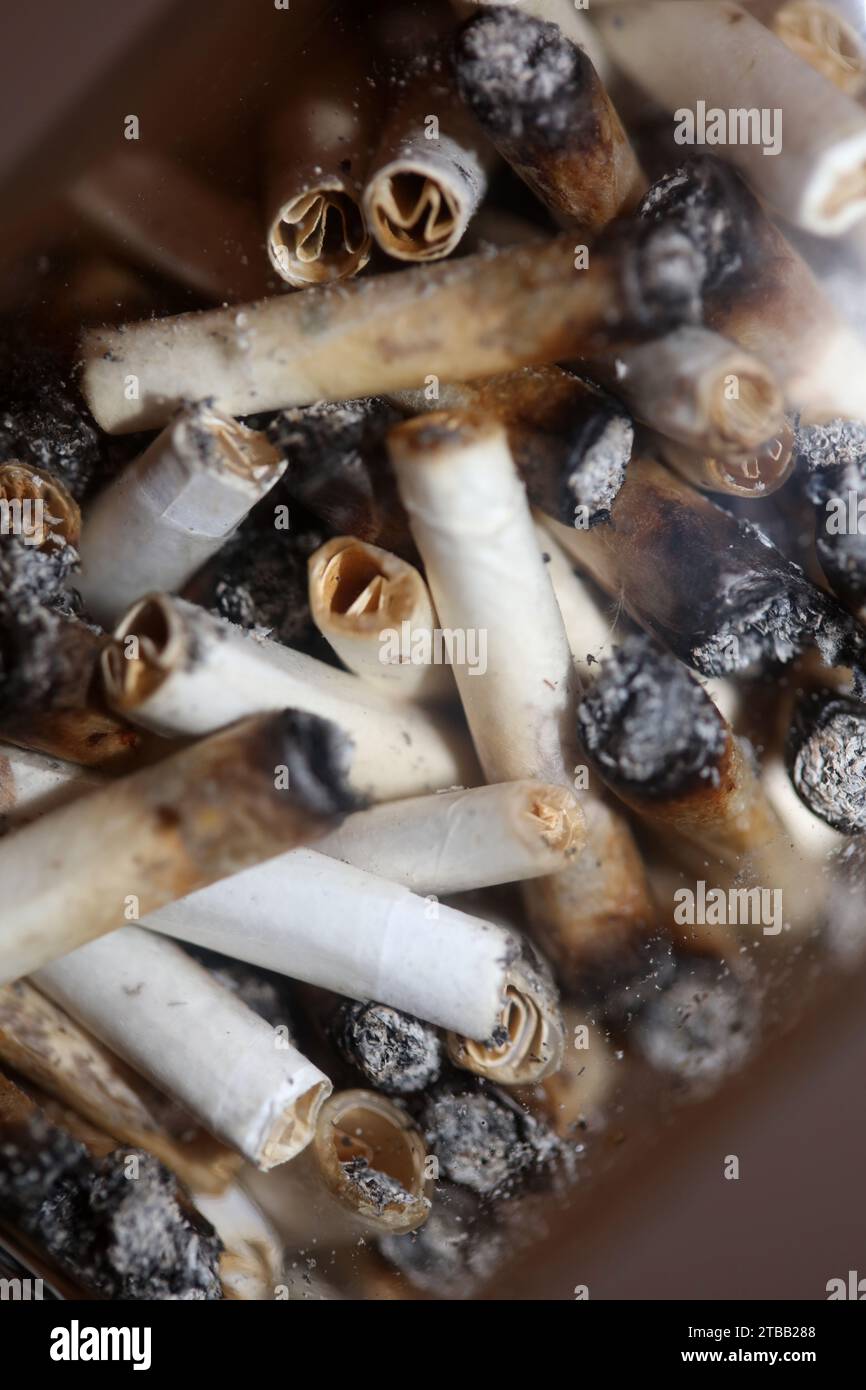 Lots of smoking joints tips in transparent glass macro Medical cannabis ...