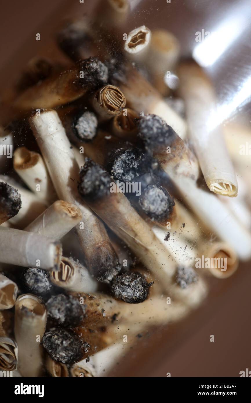 Lots of smoking joints tips in transparent glass macro Medical cannabis ...
