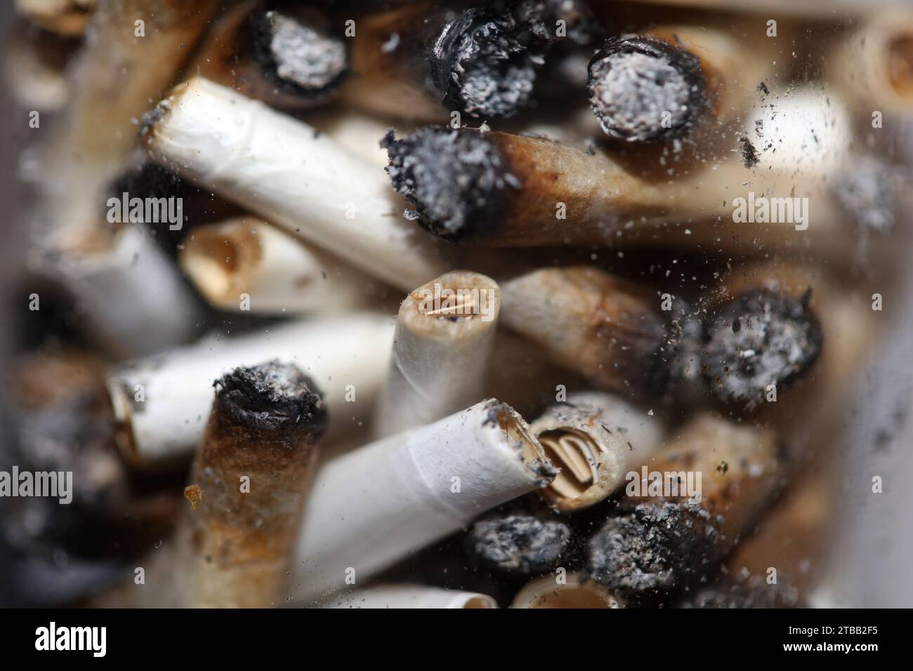 Lots of smoking joints tips in transparent glass macro Medical cannabis ...