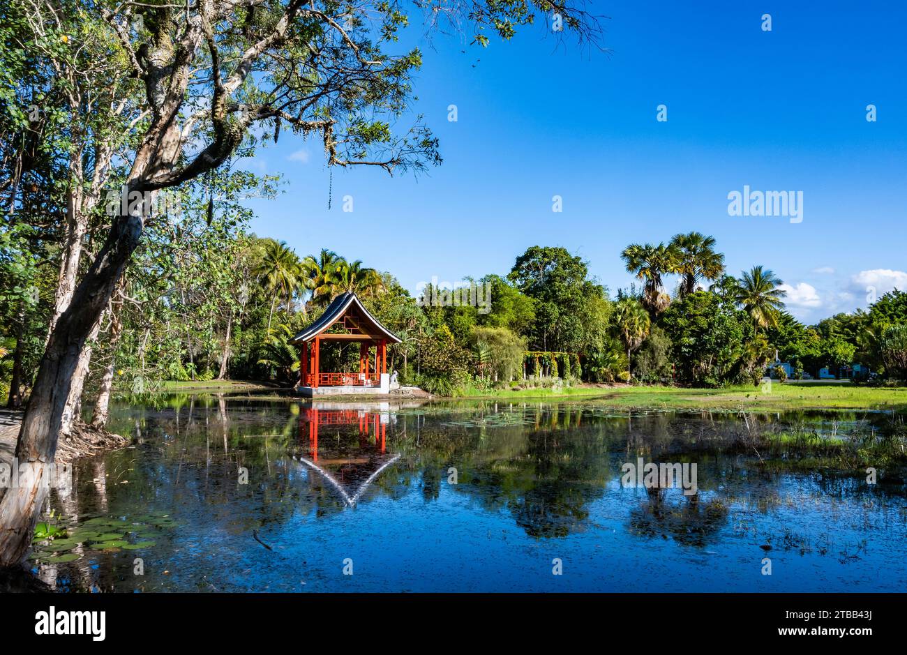 Zhanjiang chinese friendship pavilion. Cairns Botanic Gardens ...