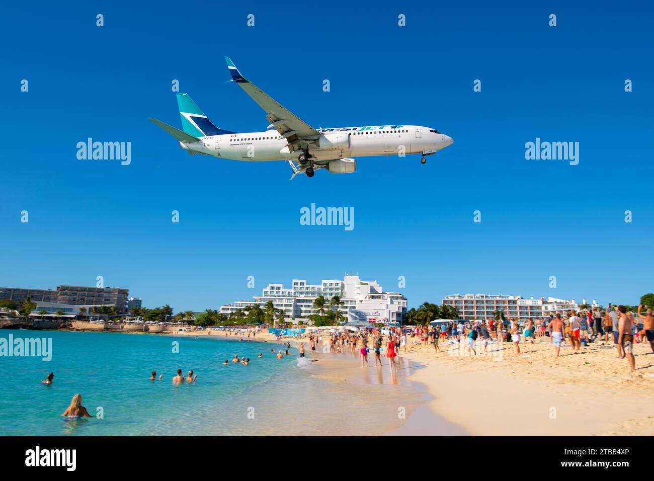 Westjet Airlines Boeing 737 flying over Maho Beach before landing on ...