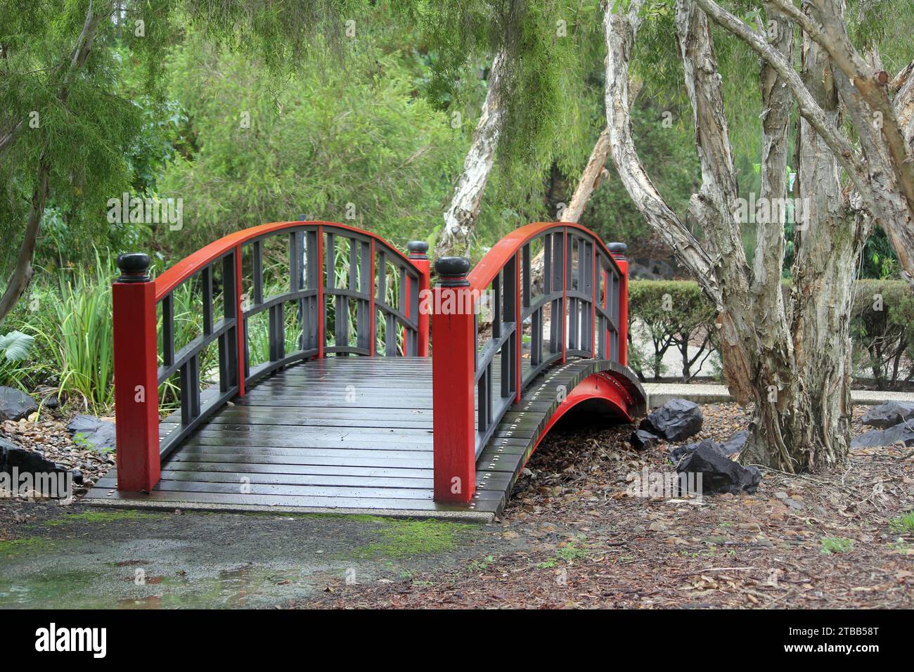Red bridge and trees at the Bundaberg Botanic Gardens in Queensland ...