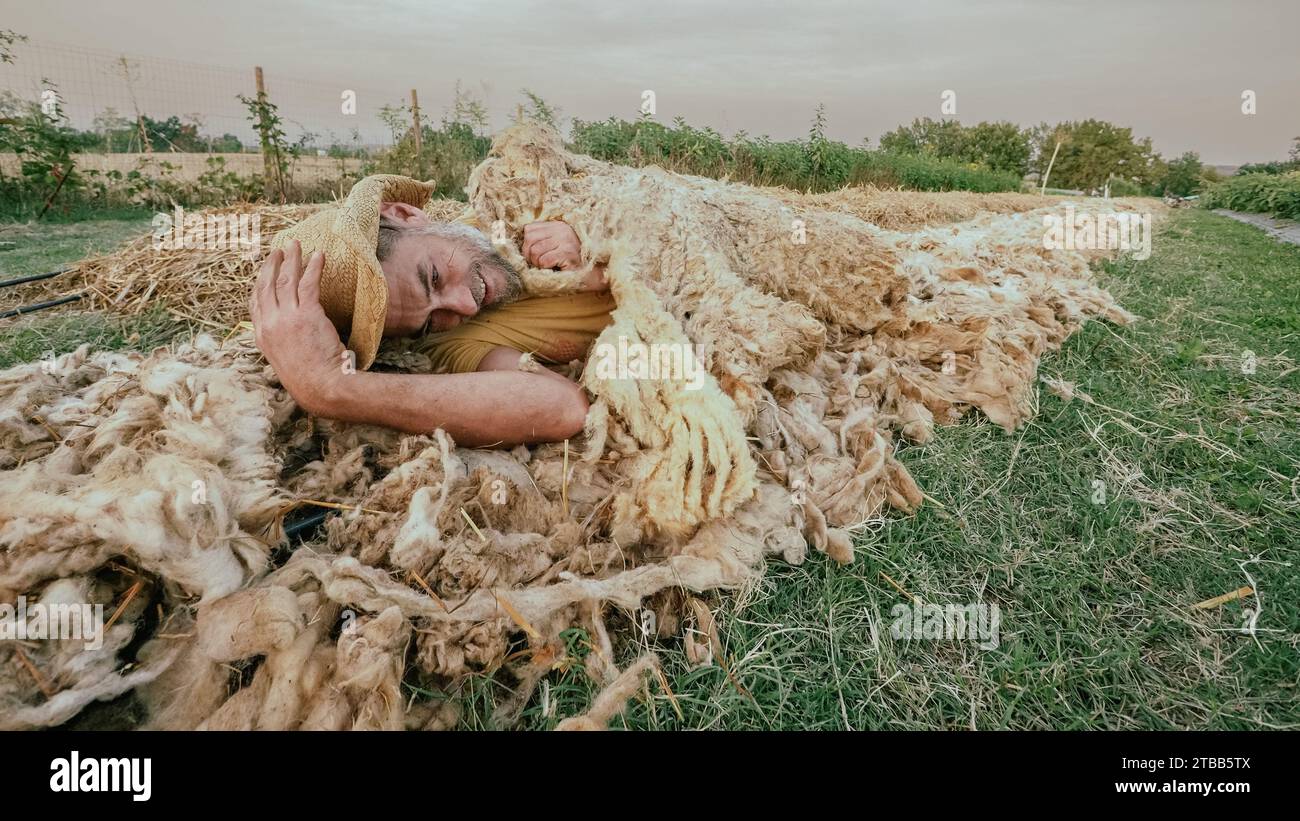 funny adult farmer taking sleep a nap on sheep wool mulch ready for ...