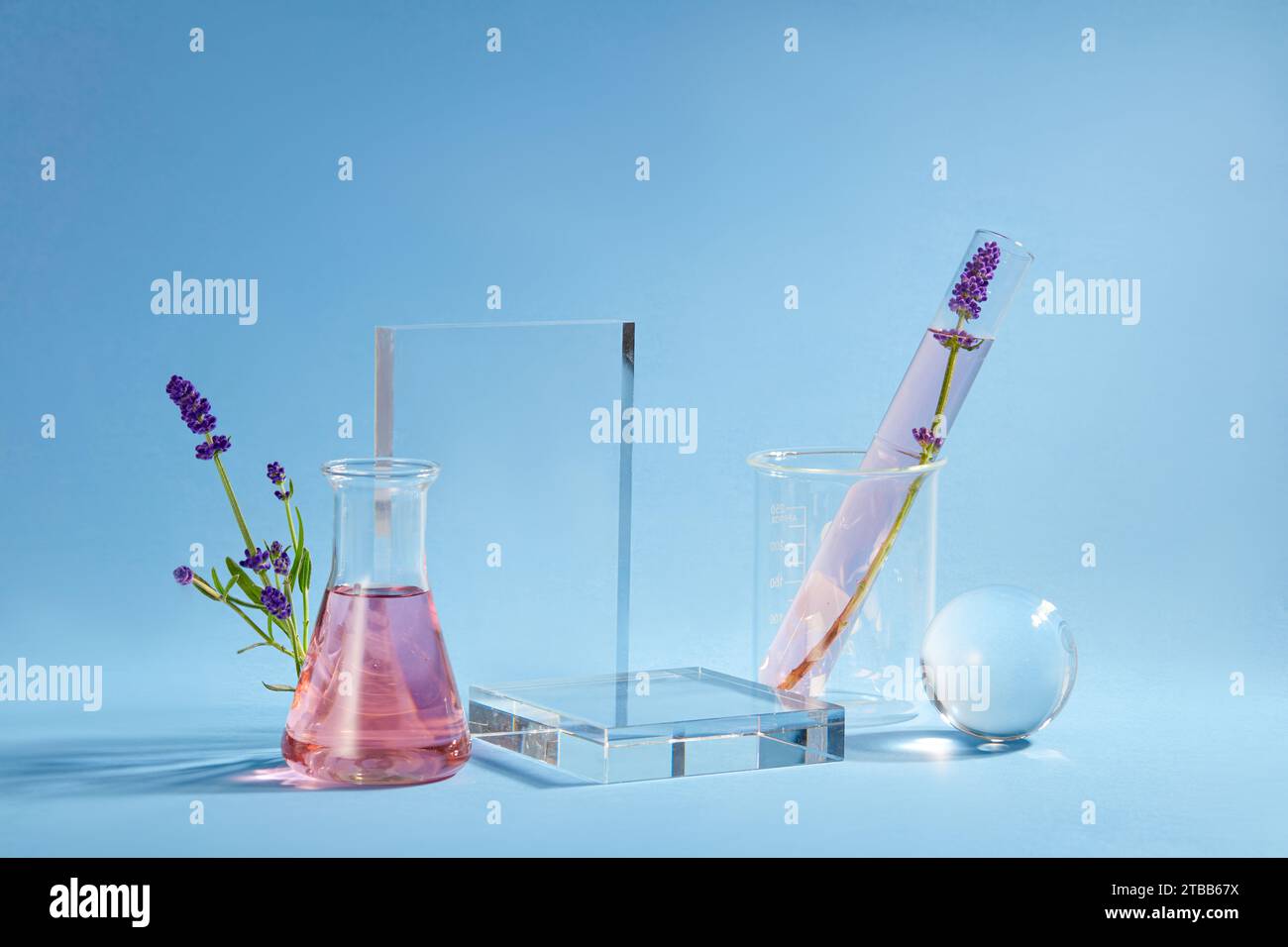 The light purple liquid is contained in an Erlenmeyer flask, lavender ...