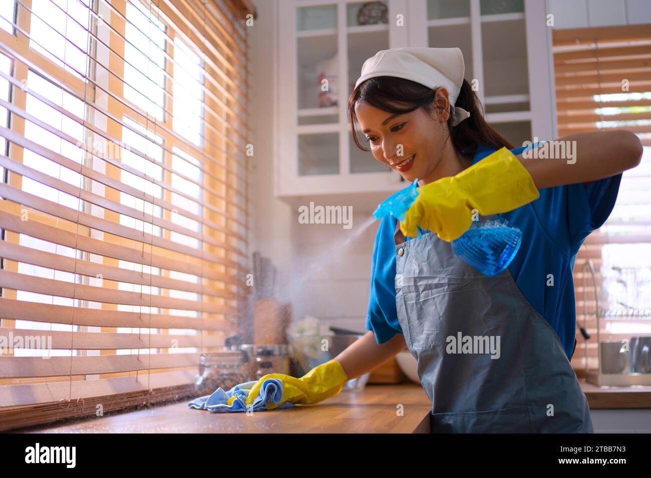 Housekeeping staff clean the house. Service and occupation concept ...