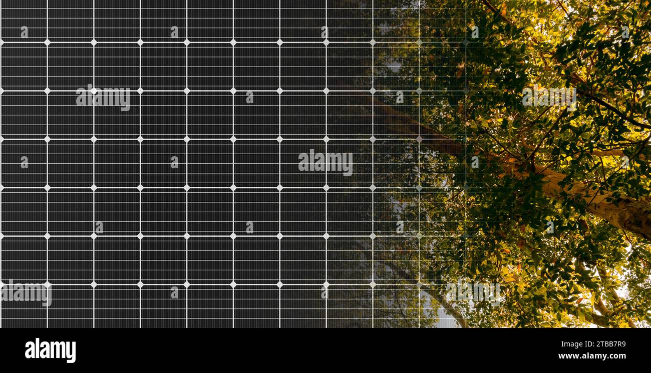 solar panels surface and forest. . power supply.electricity. renewable ...