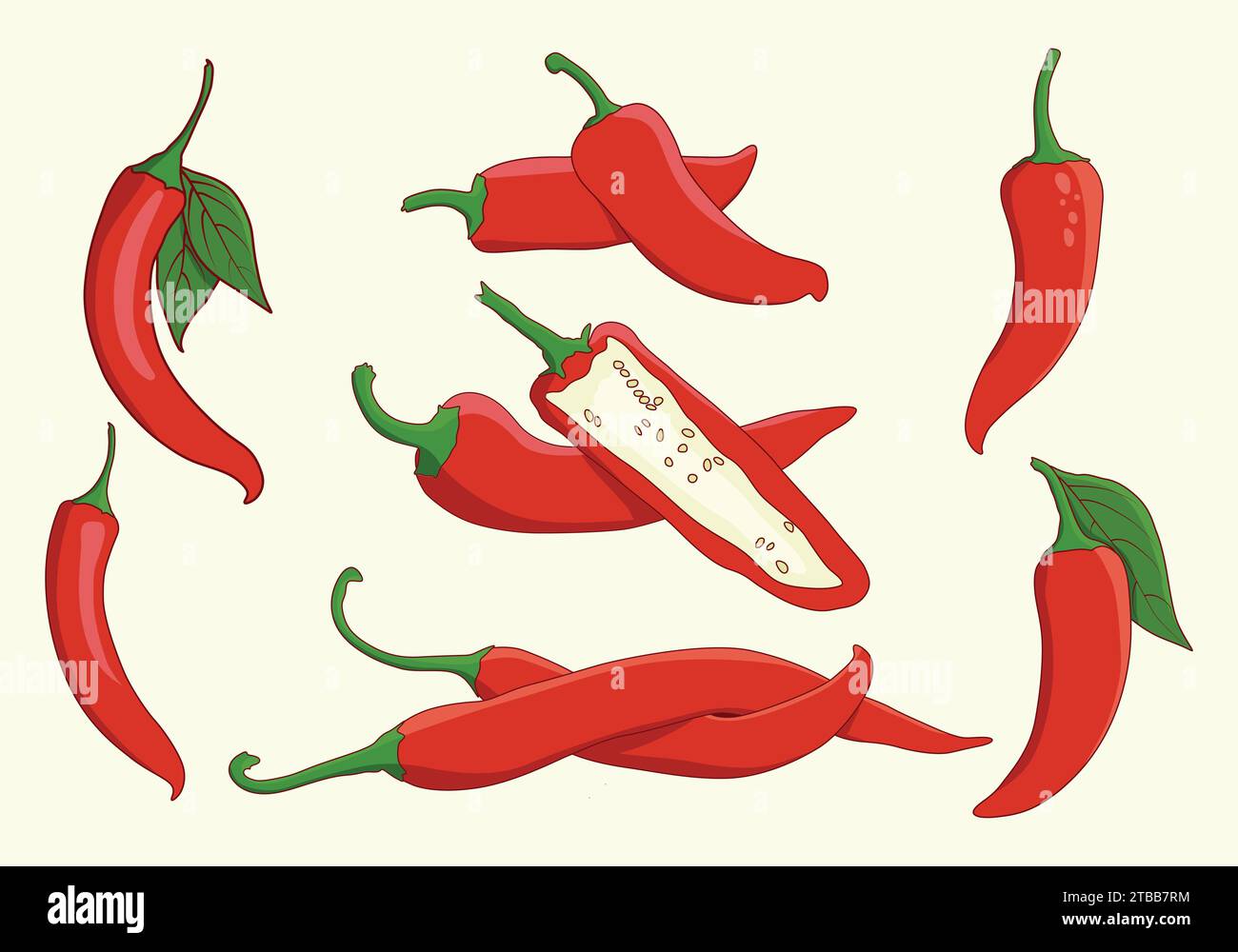 Chili pepper vector illustration, Chili illustration, Chili pepper logo ...