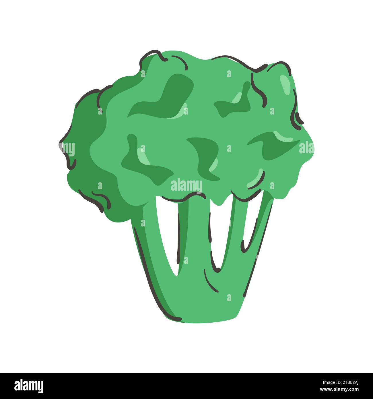 Hand drawn broccoli isolated on a white background. Vector illustration ...