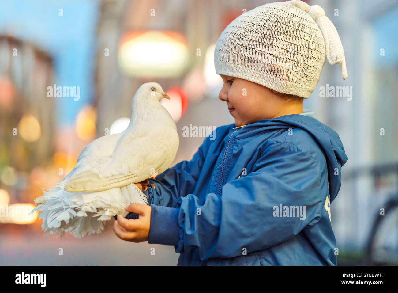 Happy little boy with white pigeon sitting on arm in city. Smiling ...
