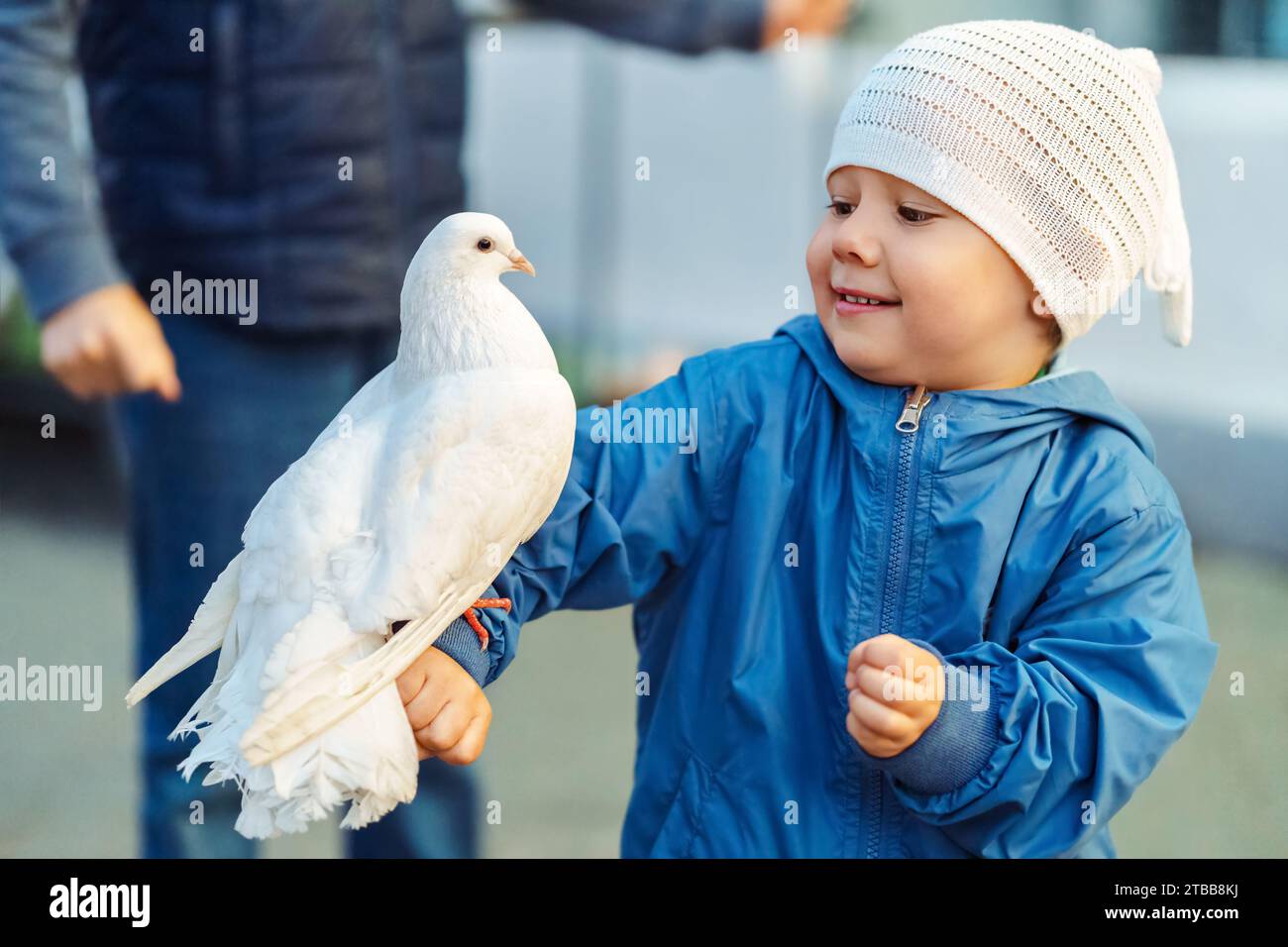 Happy little boy with white pigeon sitting on arm in city. Smiling ...
