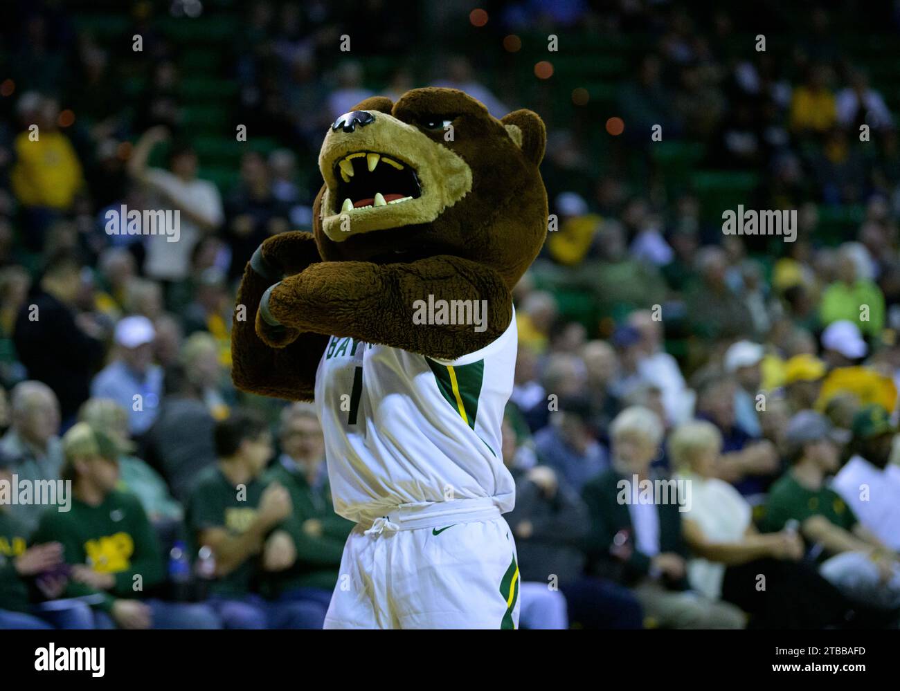Seton hall mascot hi-res stock photography and images - Alamy