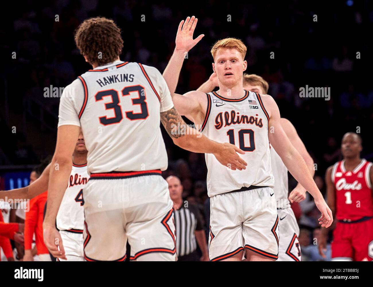 Illinois Fighting Illini guard Luke Goode (10) and forward Coleman ...