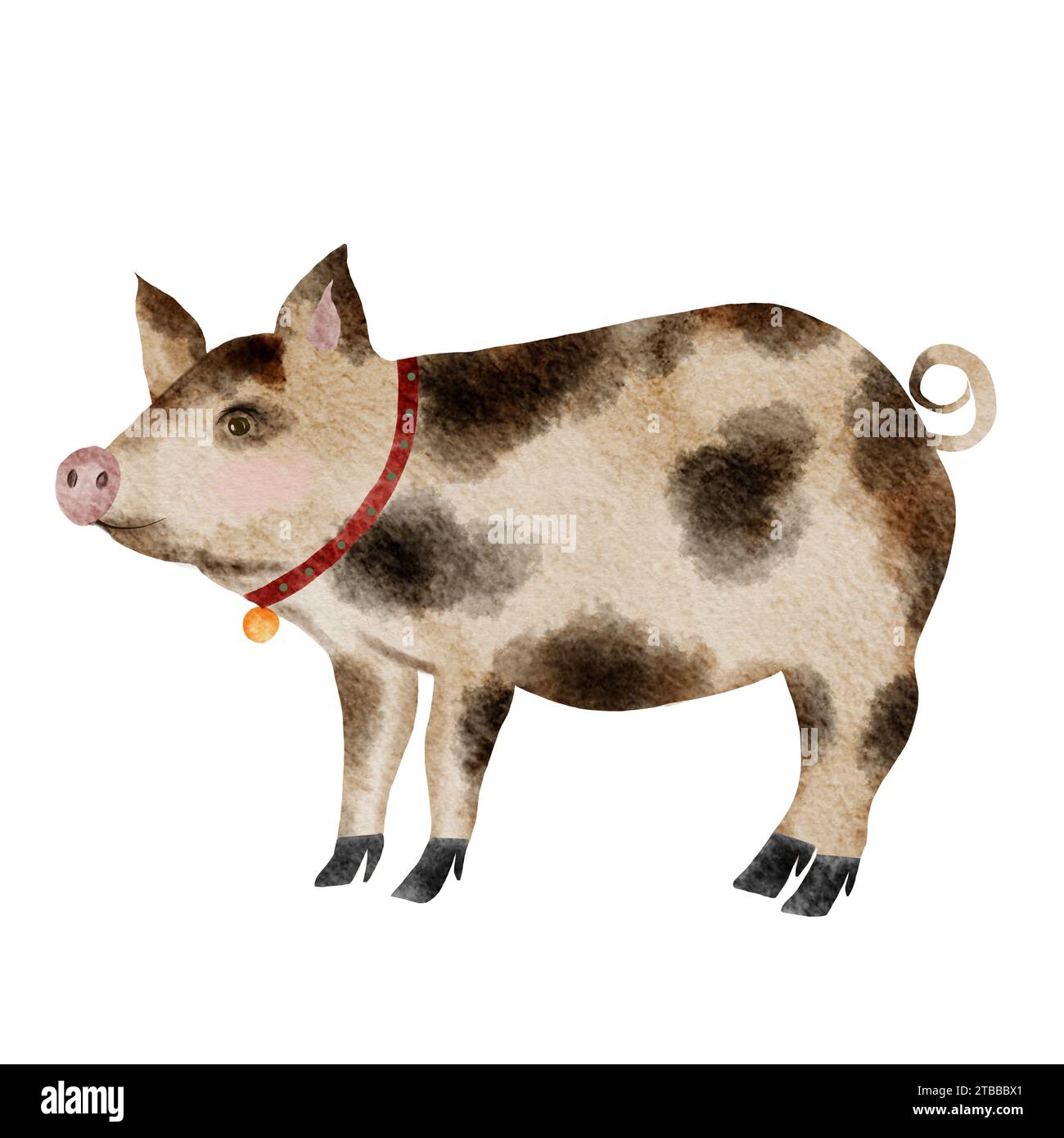 Watercolor drawing of a multi-colored cute pig. Isolate vintage pig ...