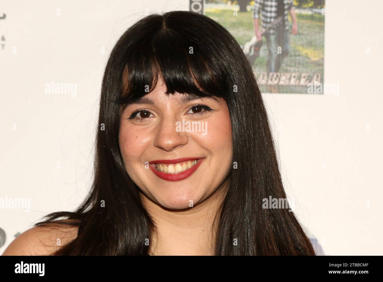 LOS ANGELES - NOV 30: Guests at the Presley Aronson's Isabella Release ...