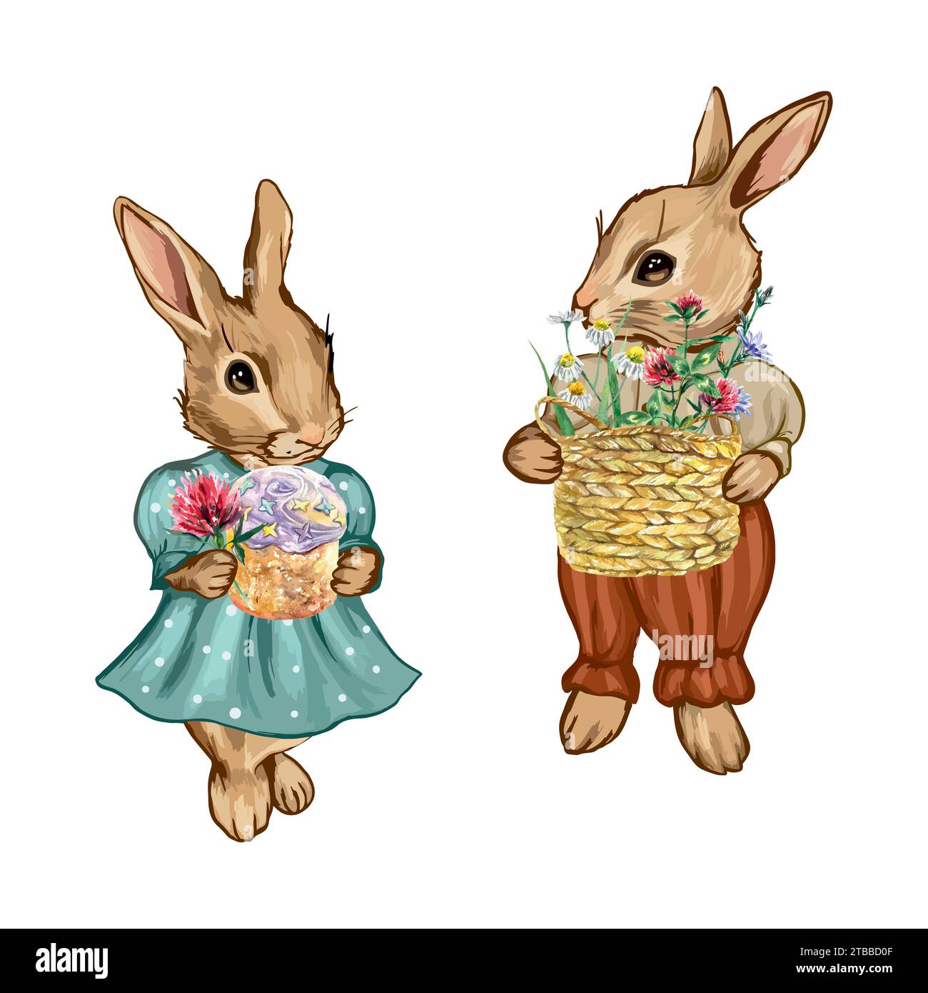 Two cute bunnies, a girl bunny and a boy bunny. Vector illustration for ...