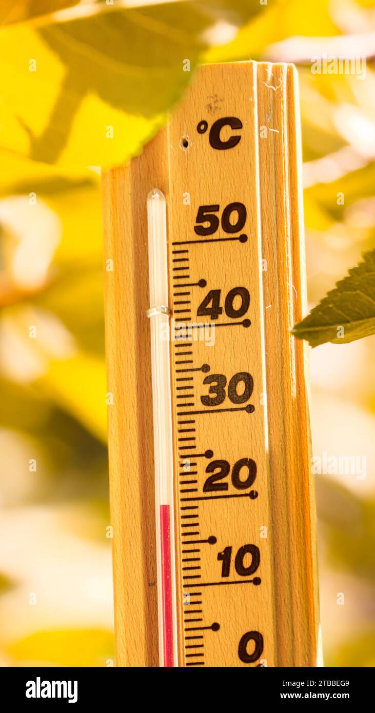 Isolated thermometer shows 20 degrees Celsius cold temperature in autumn season. Yellow, green ...