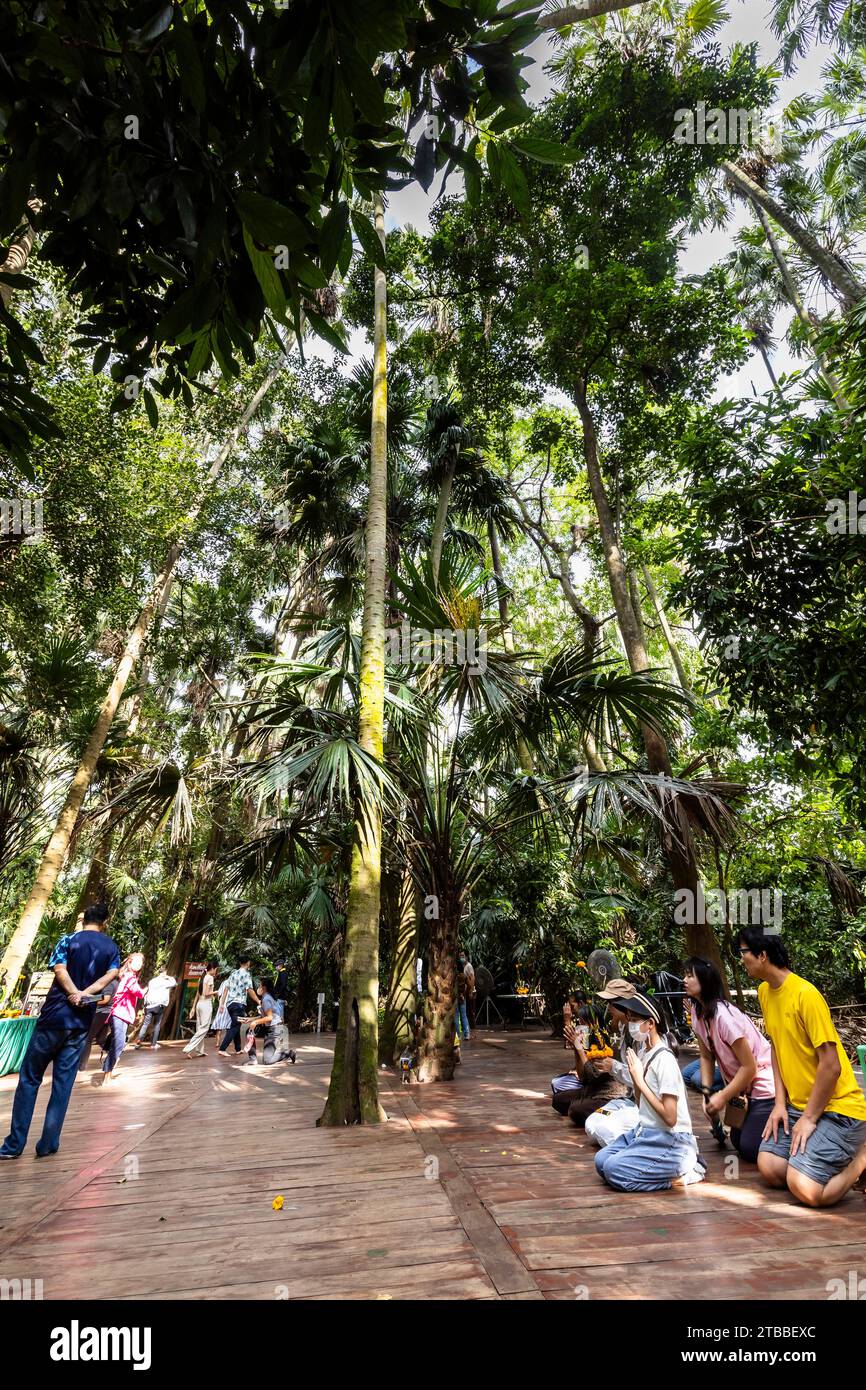 Wat Kham Chanot(Kamchanod), central shrine, Naga's legend, one of most ...