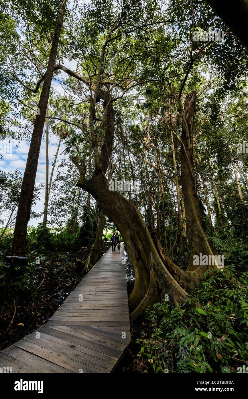 Wat Kham Chanot(Kamchanod), wooden road round holy island, Naga's ...
