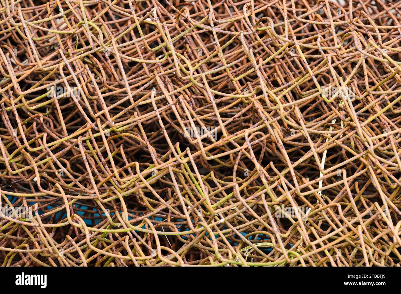 Rusty mesh in a roll close-up with a texture of square holes Stock ...