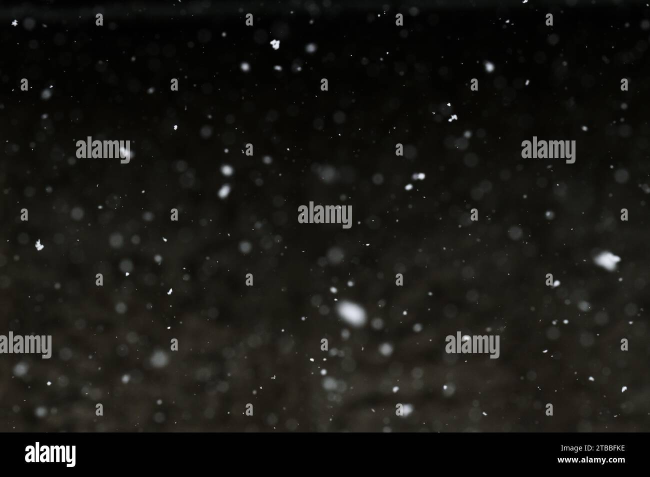 Bokeh of white snow on a black background. Snowfall - new design ...