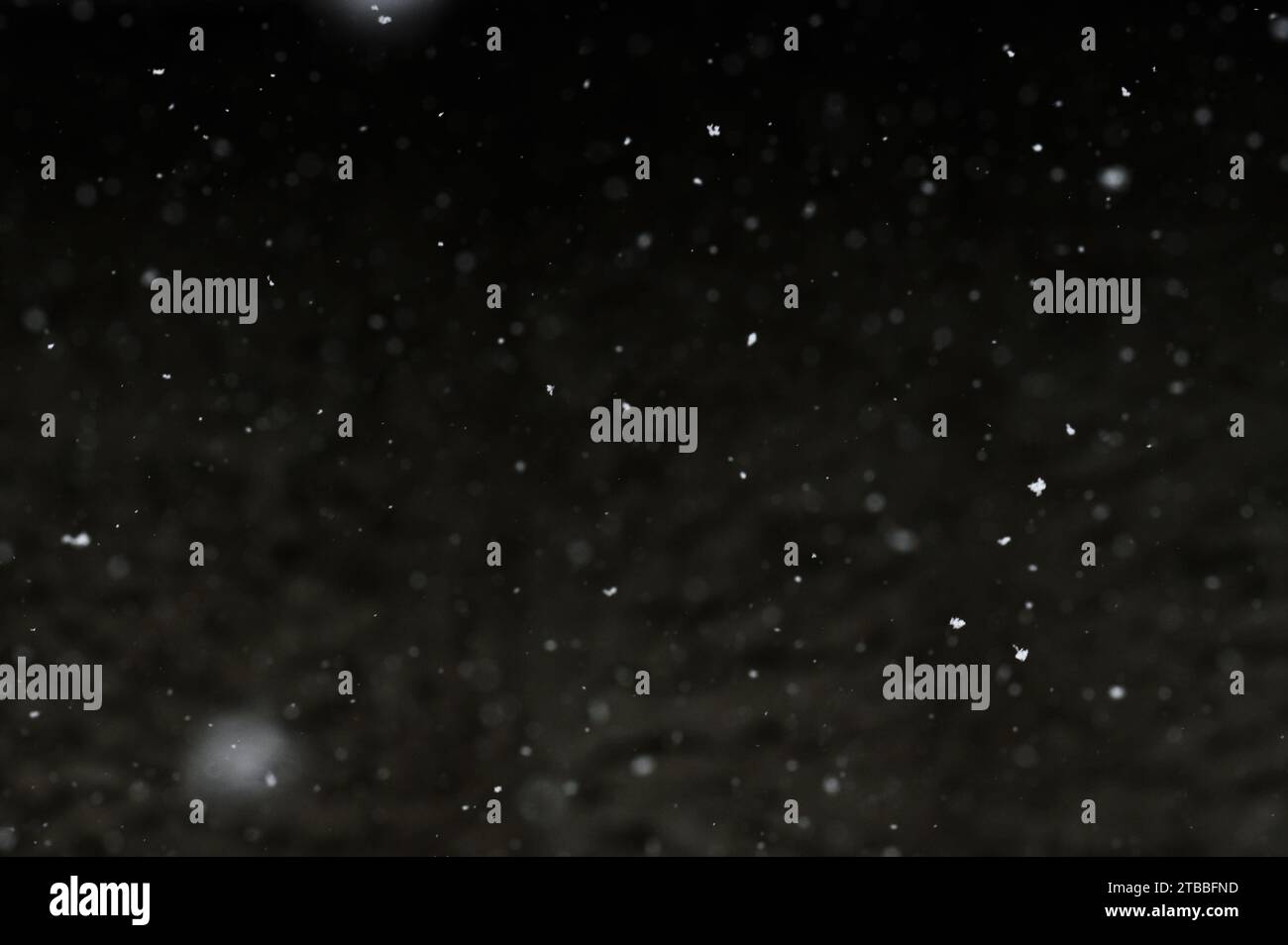 Falling snowflakes on night sky background, isolated for post ...