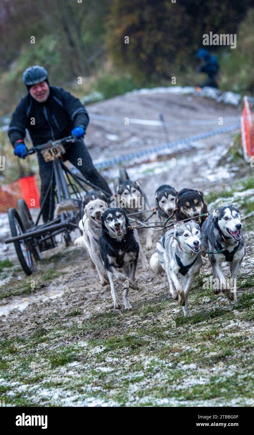 Plate, Germany. 25th Nov, 2023. At the start of the German sled dog ...