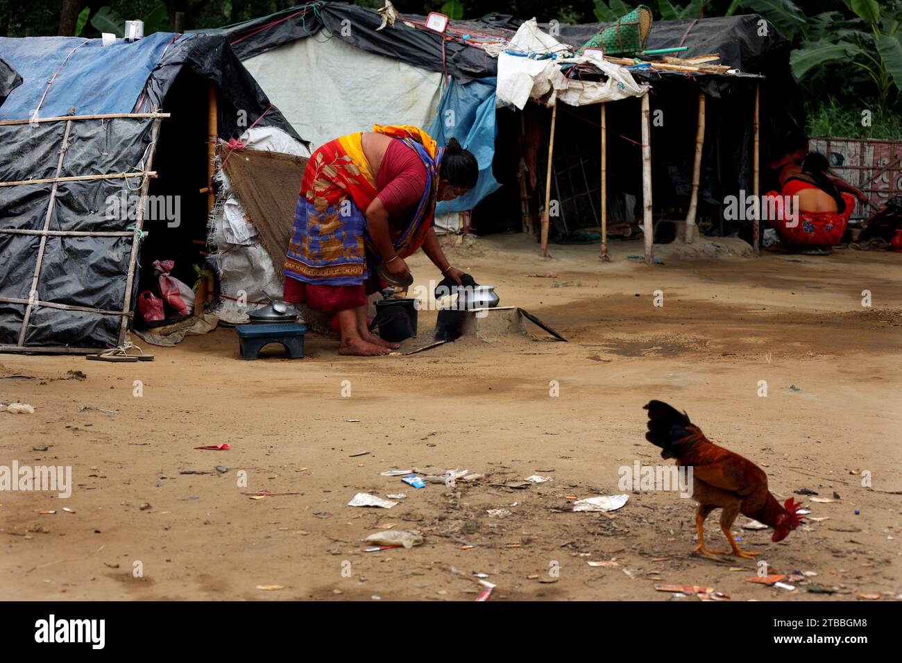 Chittagong, Potia, Bangladesh. 5th Dec, 2023. Life picture of Bede ...