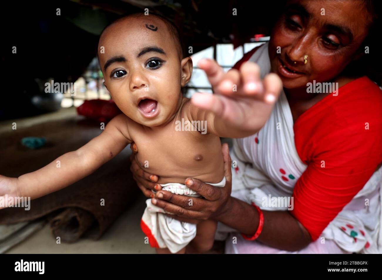 Snakes of bangladesh hi-res stock photography and images - Alamy