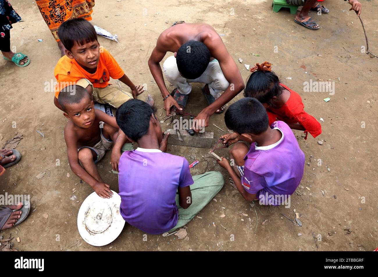 Snakes of bangladesh hi-res stock photography and images - Alamy
