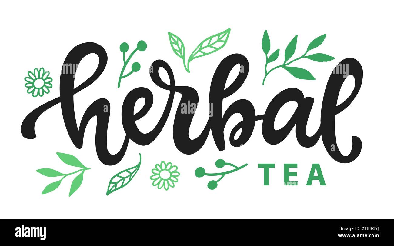 Herbal tea vector logo badge hand ink lettering Stock Vector Image ...