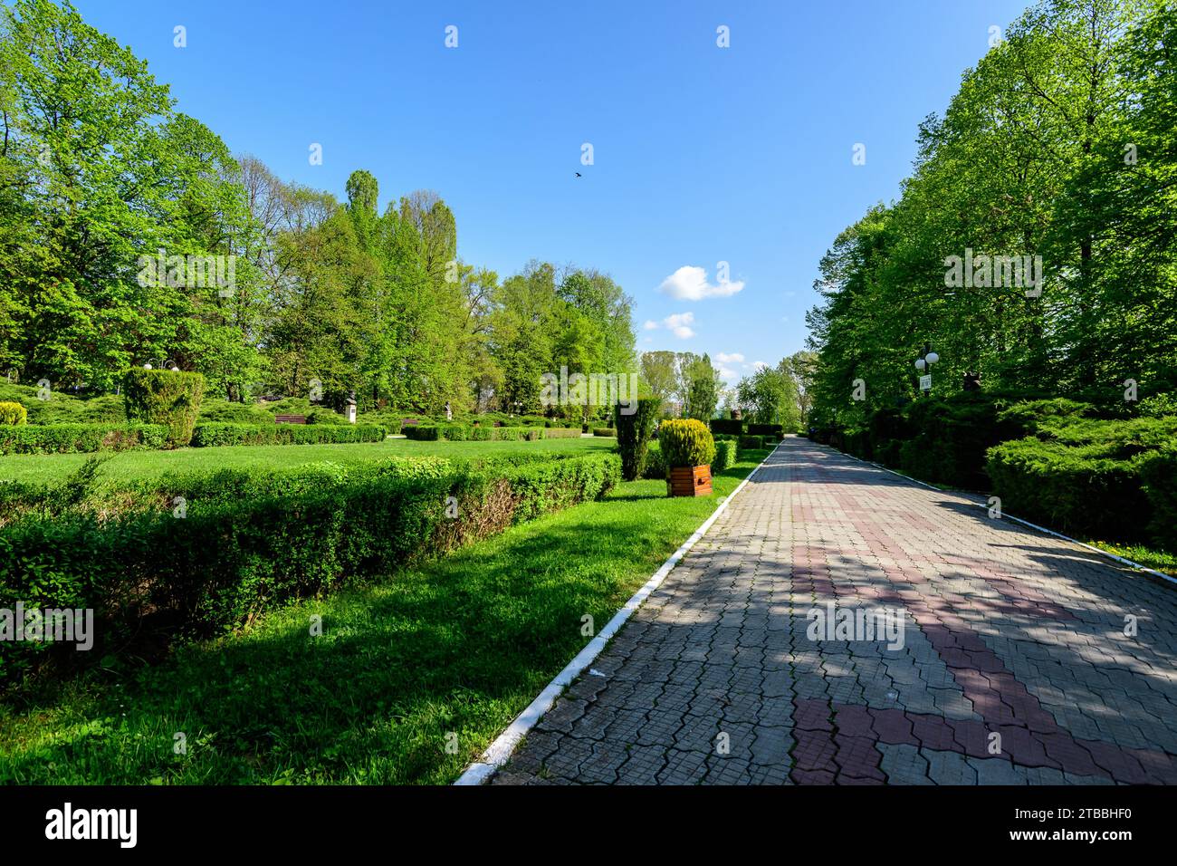 Landscape with vivid green trees and grass in Chindia Park (Parcul ...