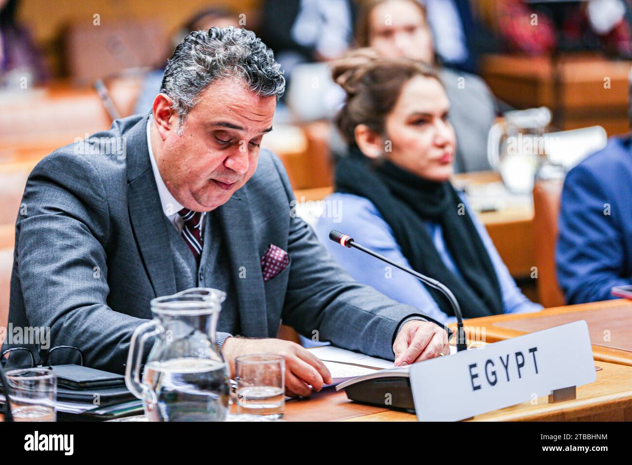 Vienna, Austria, Austria. 5th Dec, 2023. Representative of Egypt ...
