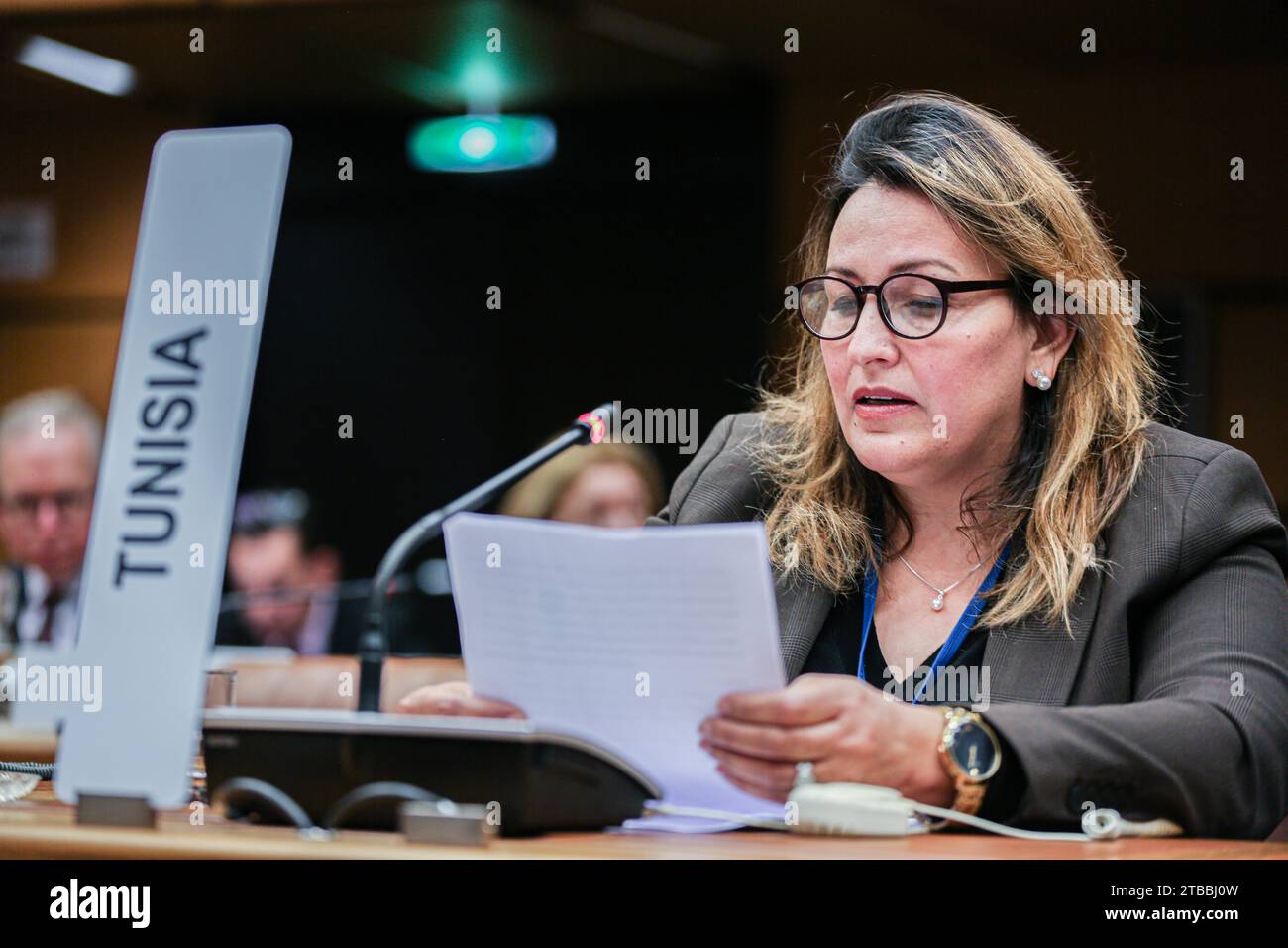 Vienna, Austria, Austria. 5th Dec, 2023. A representative of Tunisia to ...