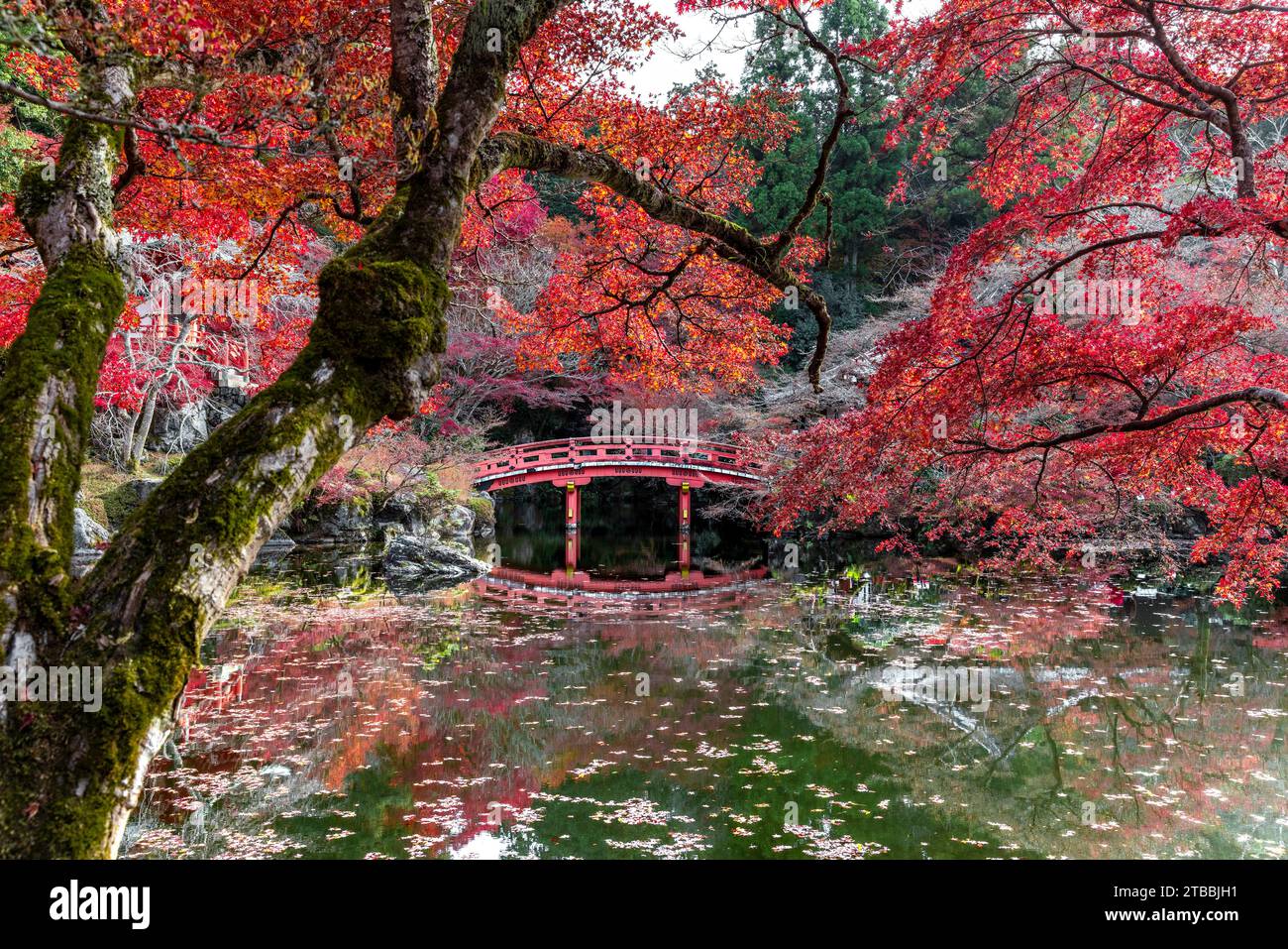 detail of the daigou-ji temple bridge in Kyoto Stock Photo - Alamy