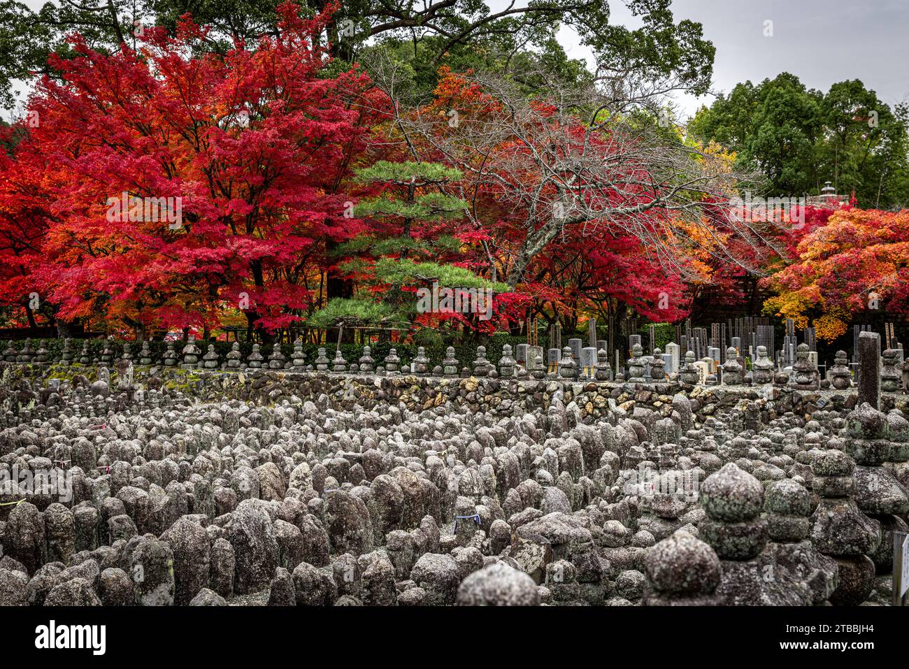 detail of Adashino Nenbutsuji temple in Kyoto Stock Photo - Alamy