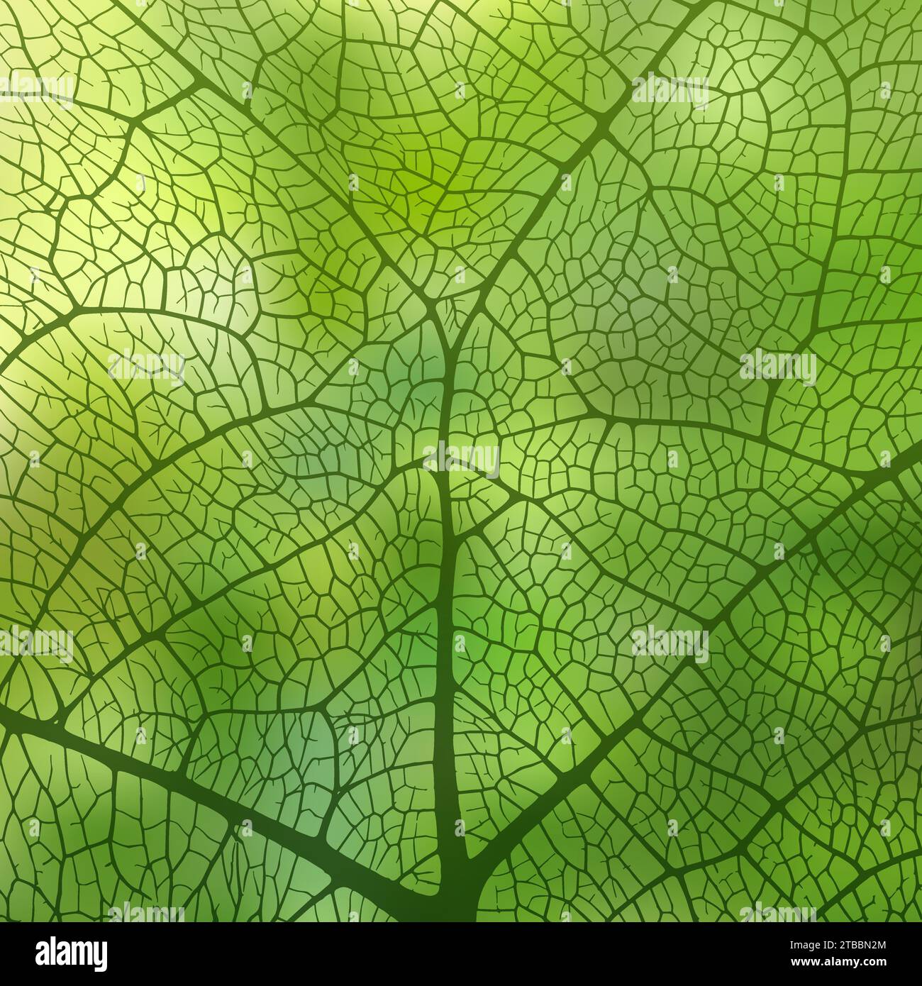 Grow cells Stock Vector Images - Alamy