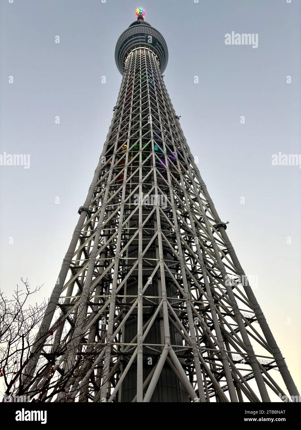 Completed in 2012, the Tokyo Skytree is located in the Sumida ward of ...