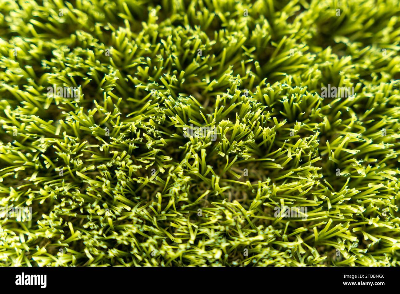 A stunning view of a green synthetic turf, creating a picturesque ...