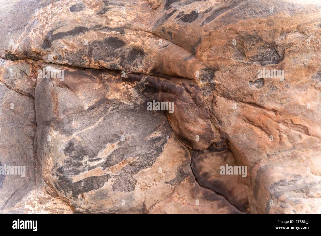 Rugged appearance hi-res stock photography and images - Alamy