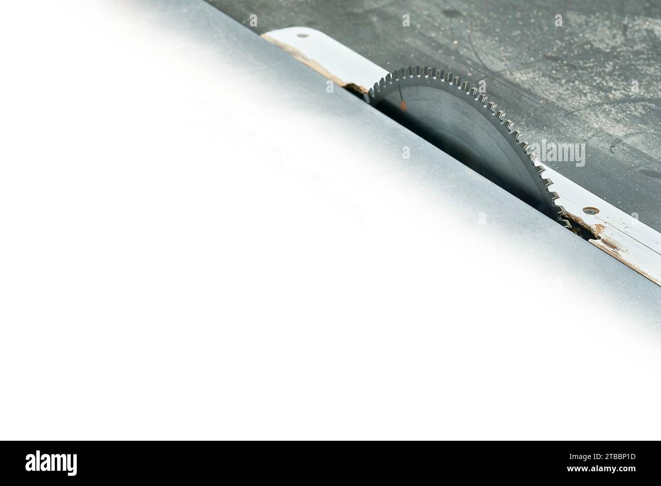 Automatic circular saw with circular saw for cutting wood Stock Photo ...