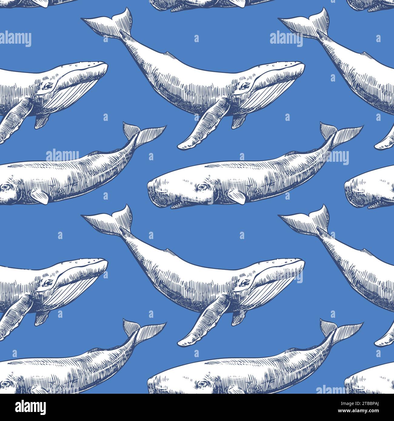 Vector seamless pattern with whales and sperm whales. Sea animals in ...