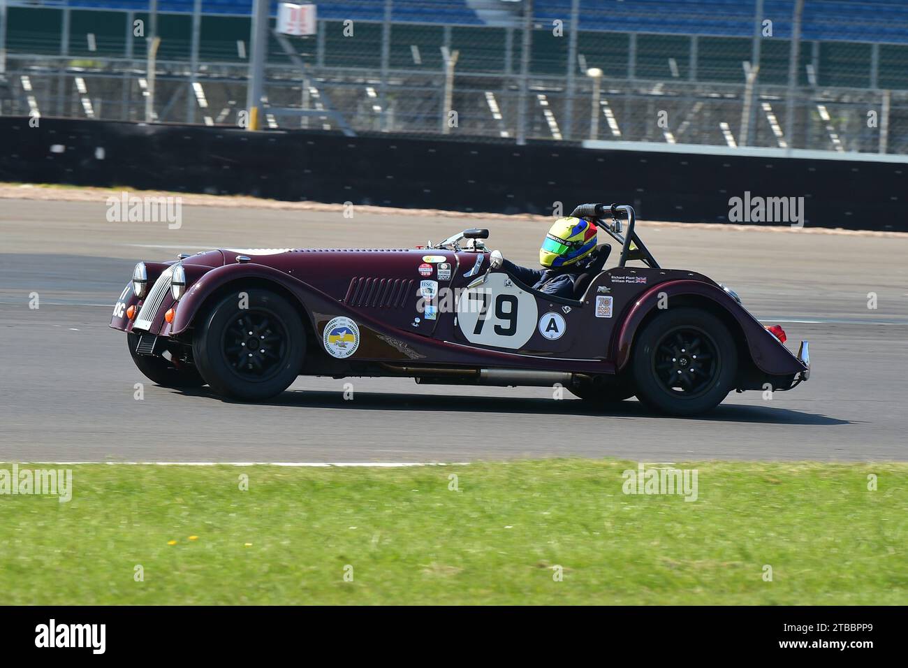 Plant classifications hi-res stock photography and images - Alamy