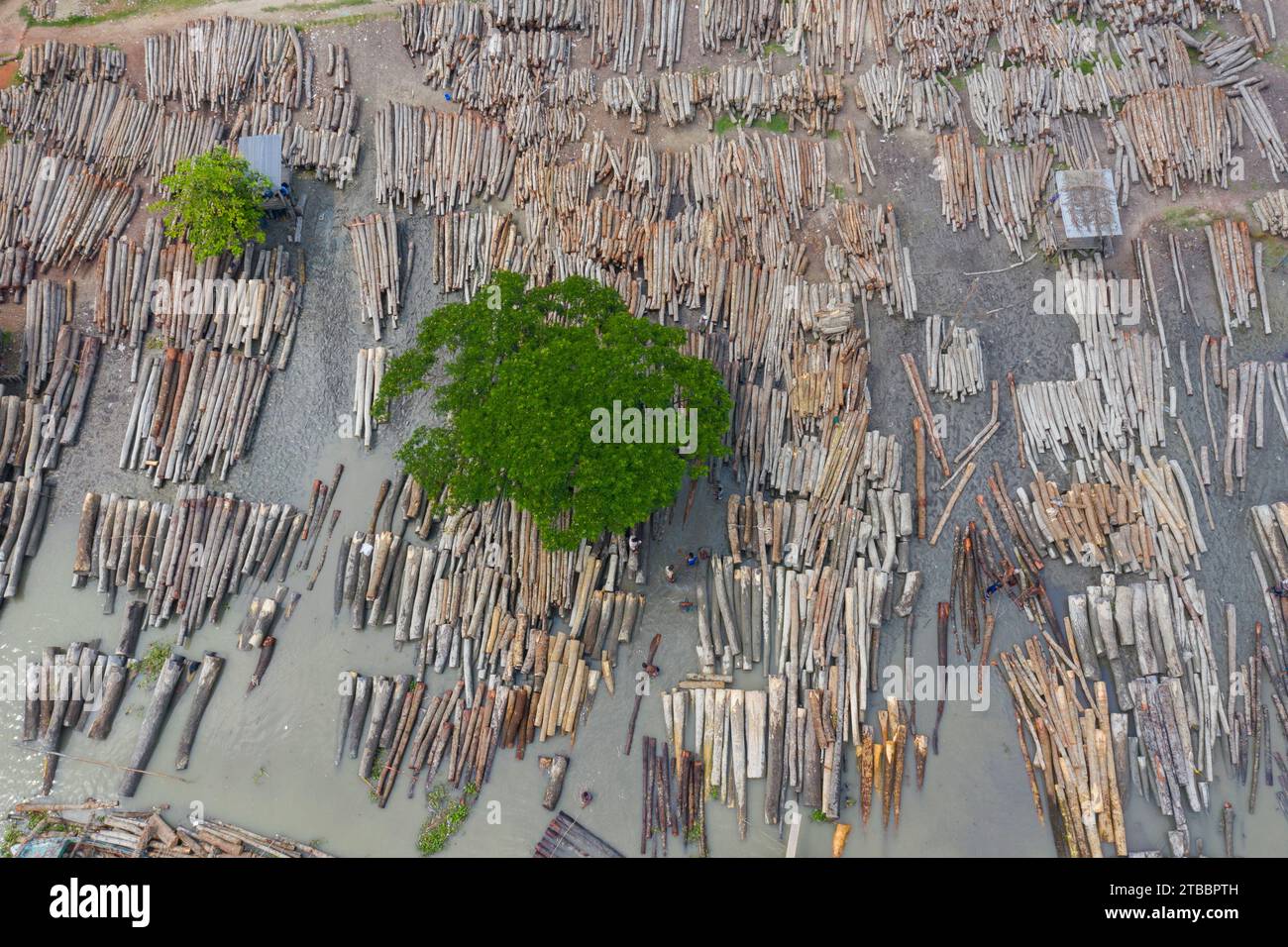 Pirojpur, Bangladesh: The largest floating wood market over Shitol ...
