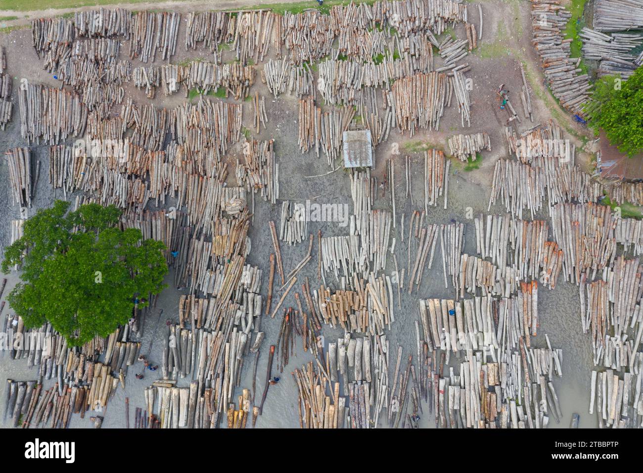 Pirojpur, Bangladesh: The largest floating wood market over Shitol ...