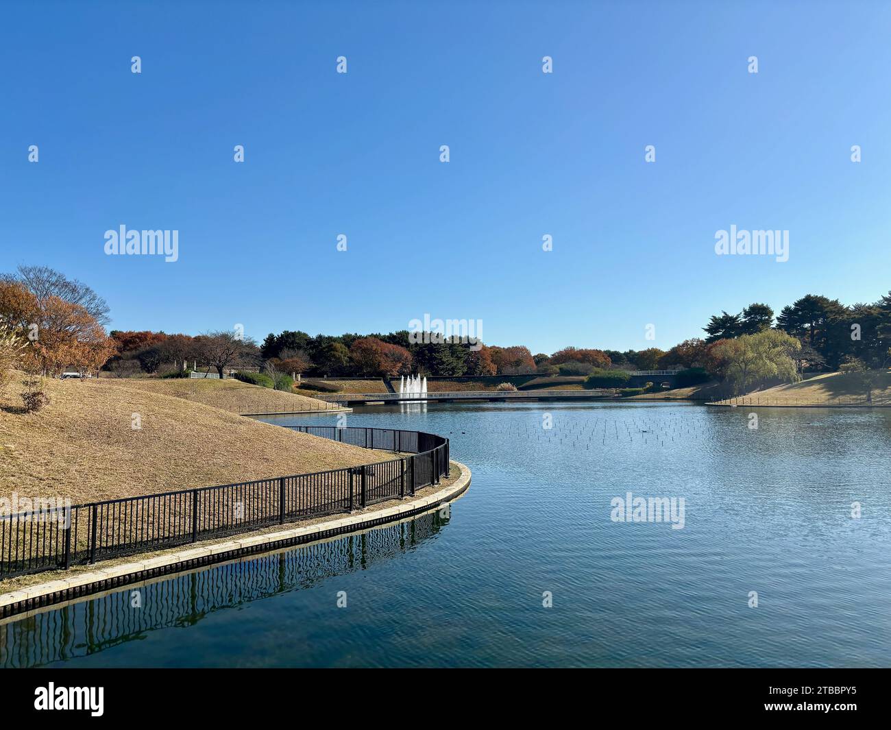 A pond at the Hitachi Seaside Park in Ibaraki, Japan. This park is ...