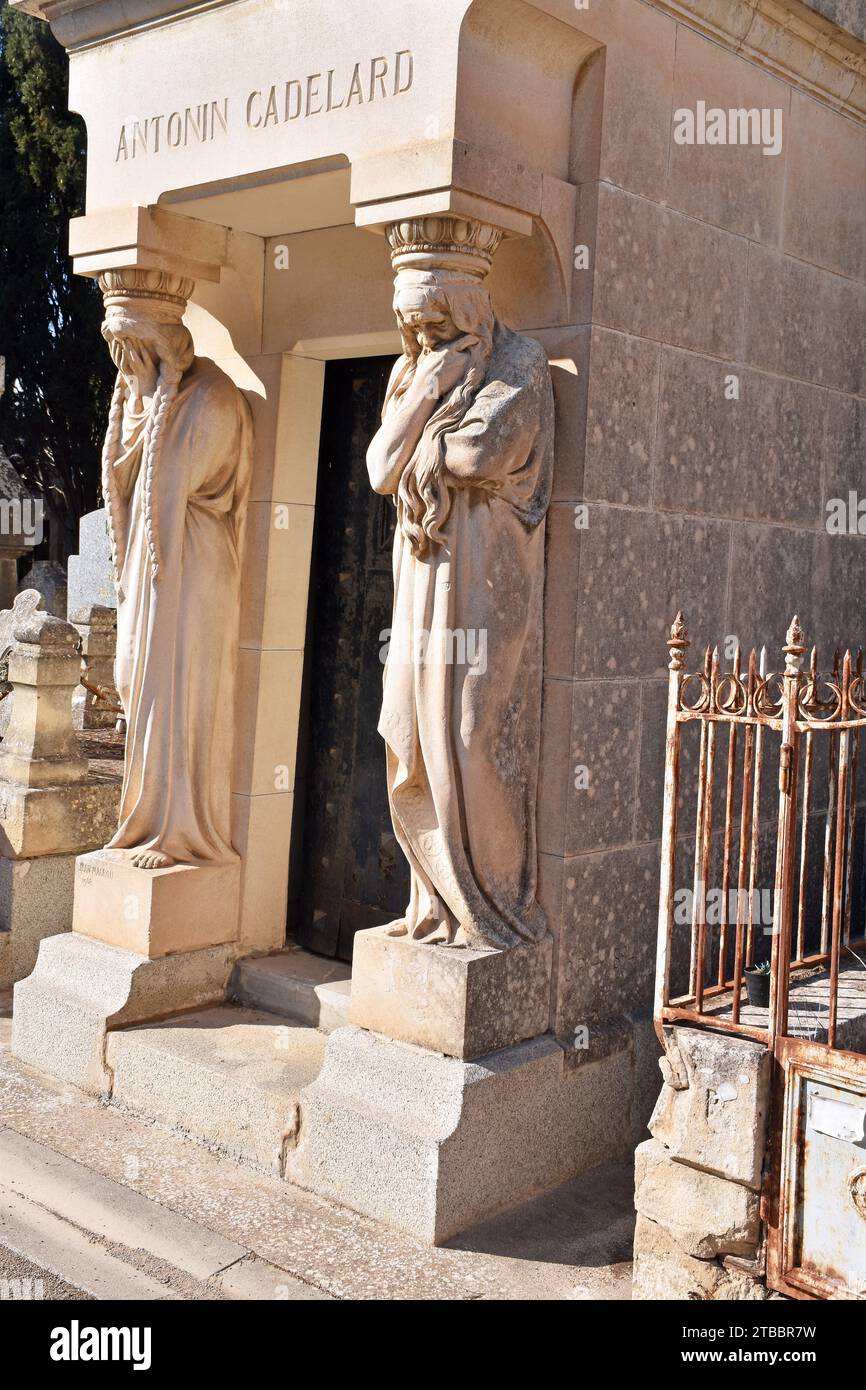 Prolific pines and cypress trees hi-res stock photography and images ...