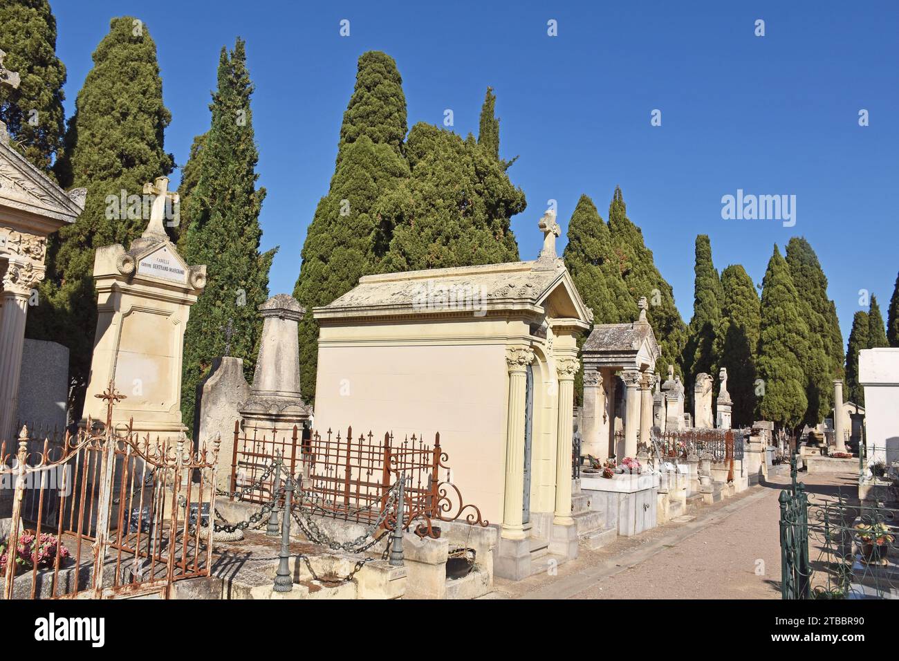 Prolific pines and cypress trees hi-res stock photography and images ...