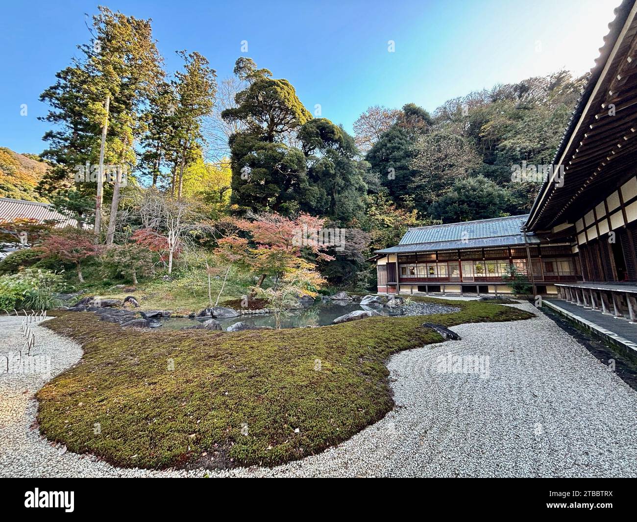 A beautiful Japanese zen garden at Engaku-ji Temple in Kamakura, Japan ...